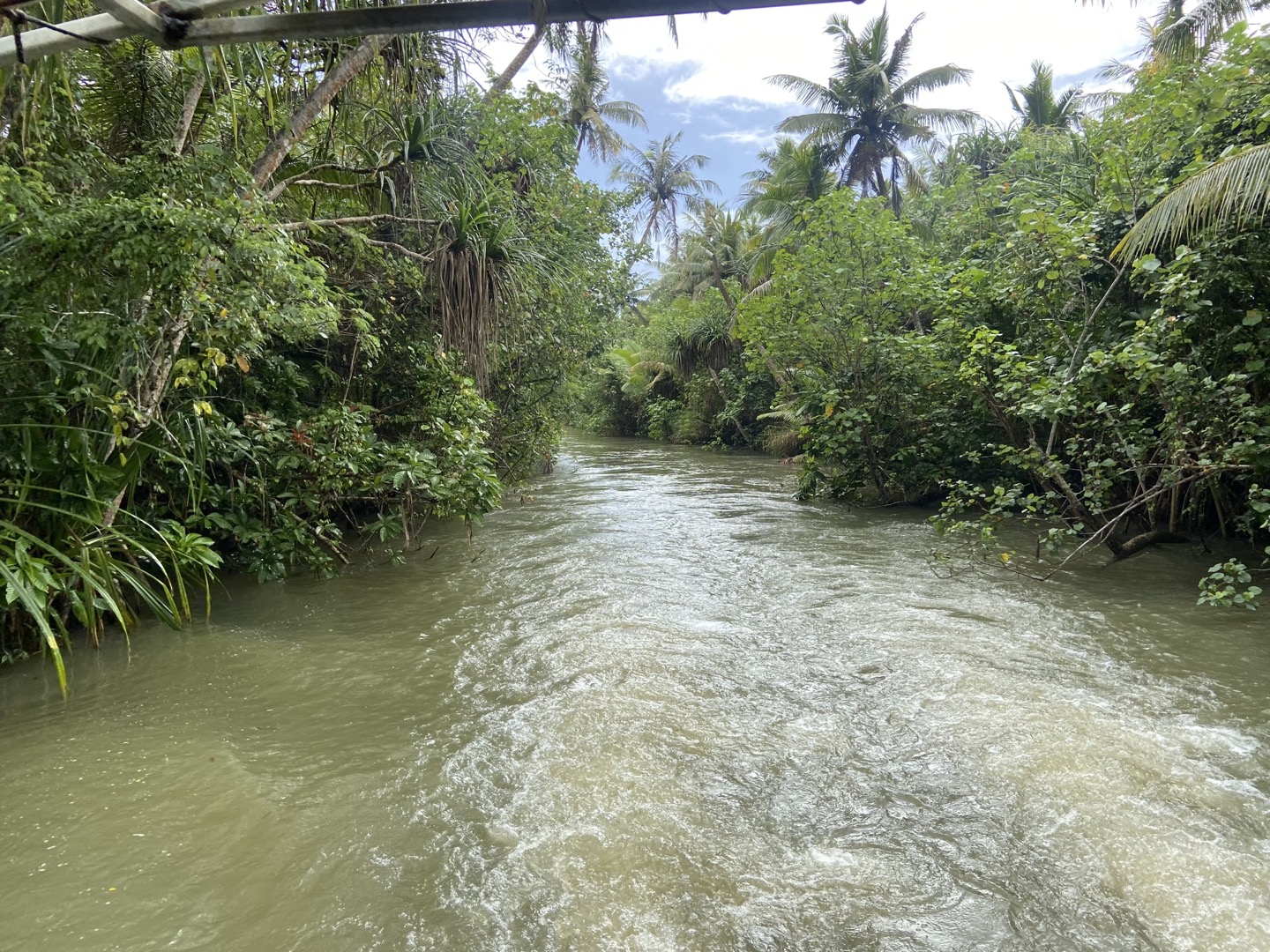 괌 정글리버 크루즈(리버 크루즈+원주민 마을+코코넛체험활동+점심+동물원+픽업) (jungle river cruise) - 몽키트래블