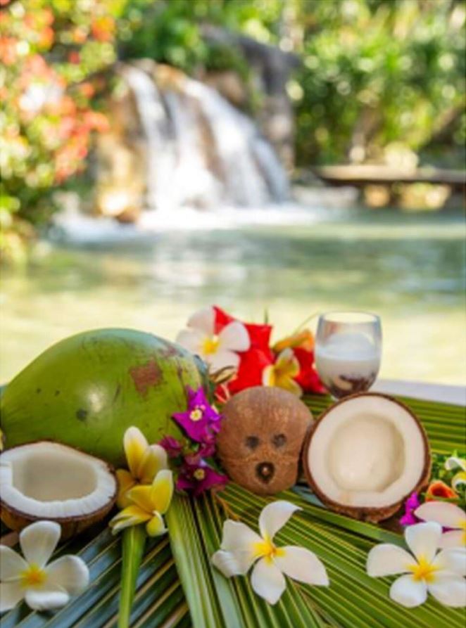 괌 피쉬아이 돌핀워칭크루즈&코코넛 아일랜드 전통 의상 체험 (Island costume&Coconut Experience ...